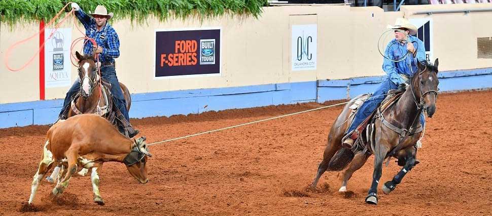 معرفی ورزش سوارکاری